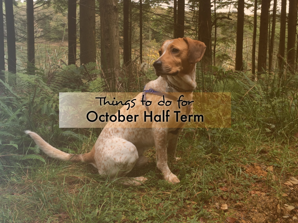 Things to do this October Half Term - Newquay